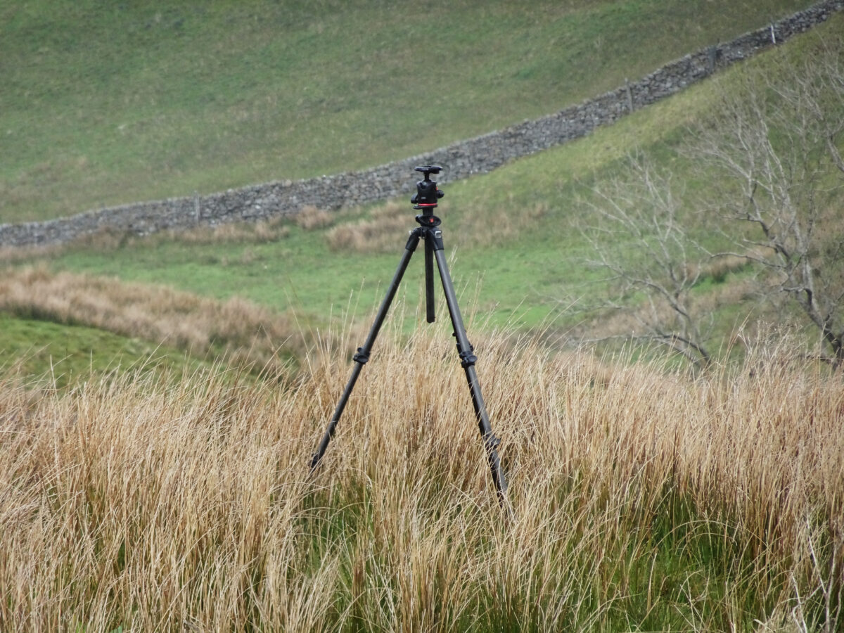 Stephen Carr Photographs | Home